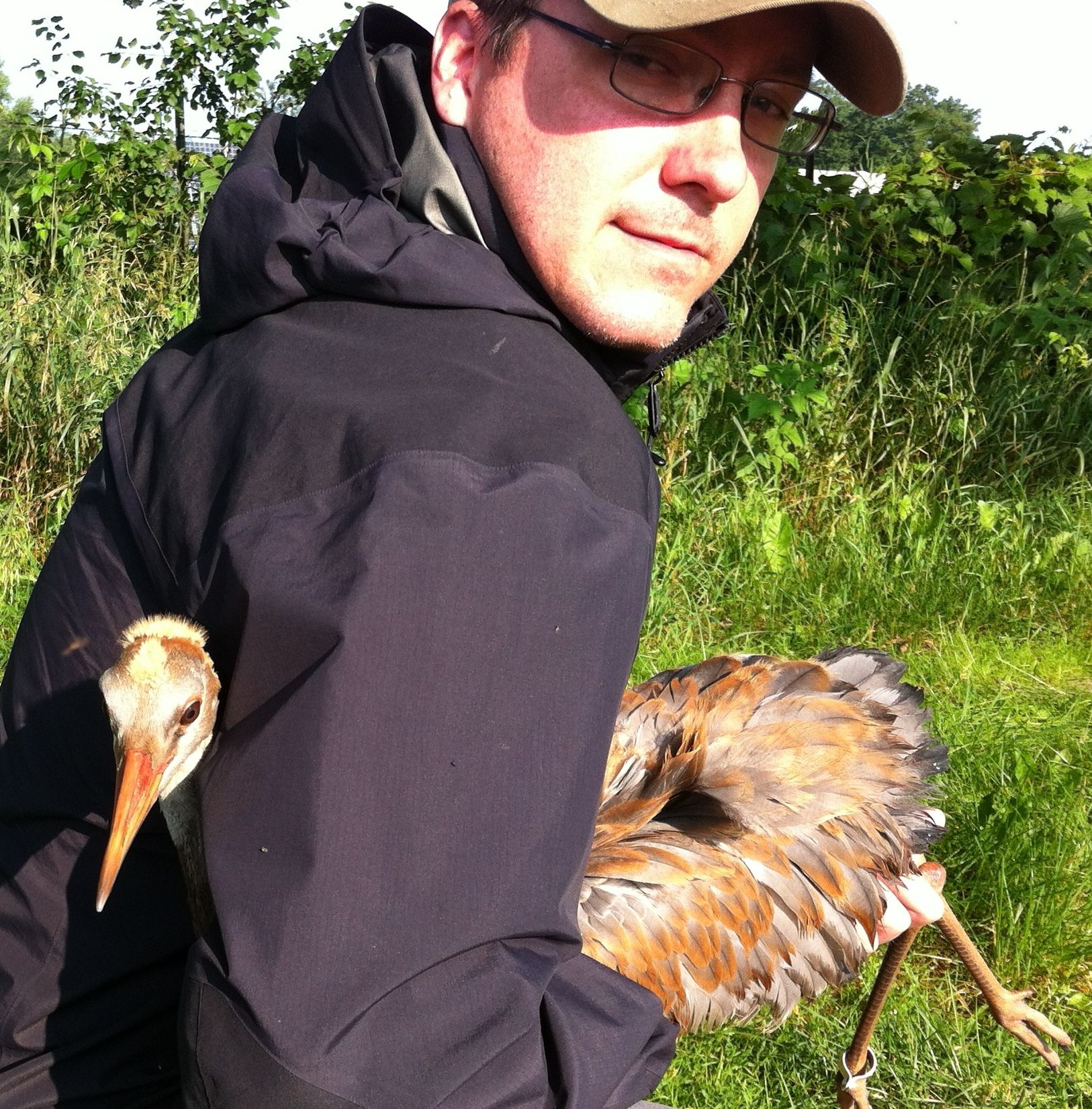 One foot in conservation, one in the Ivory tower: The challenges of ...