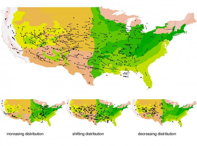 Do birds track climate or weather? – SILVIS LAB – UW–Madison