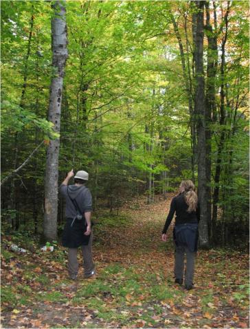 Land use scenarios and effects on bird habitat in Northern Wisconsin ...