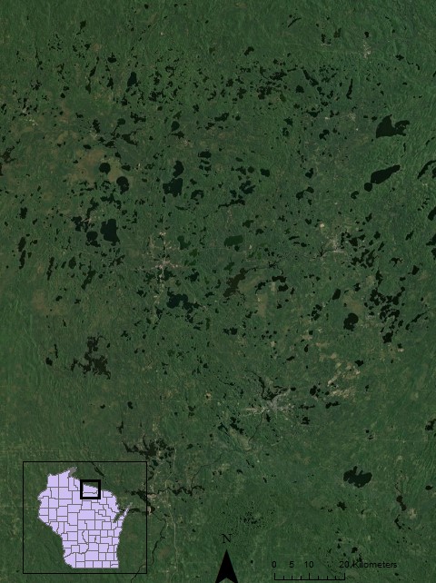 Flying insect abundance in northern Wisconsin depends on lakes ...