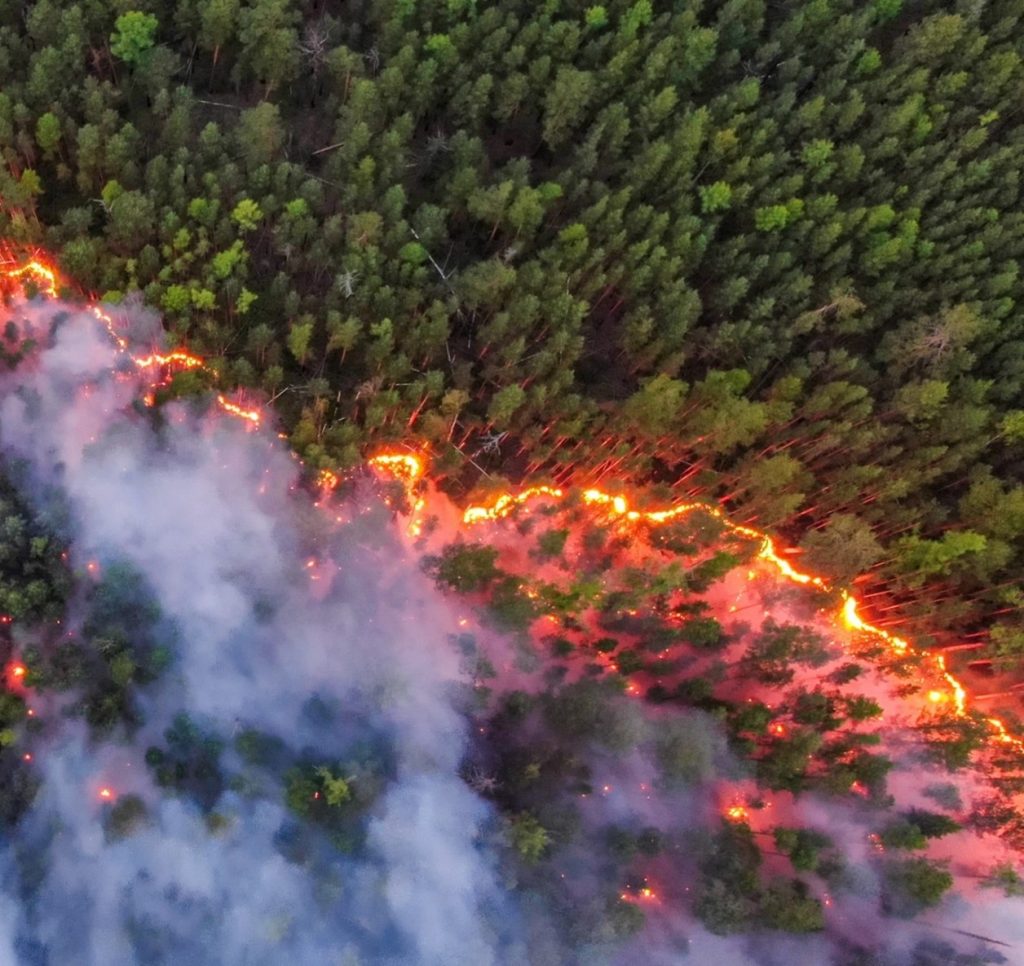 Quantifying the impact of long-term trends in circumboreal annual ...