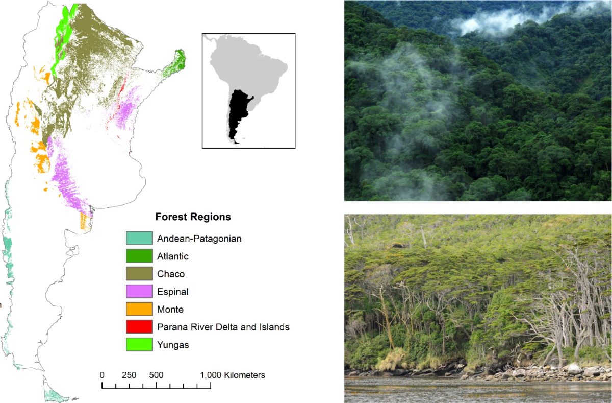 Mapping the human footprint in the forests of Argentina – SILVIS LAB ...